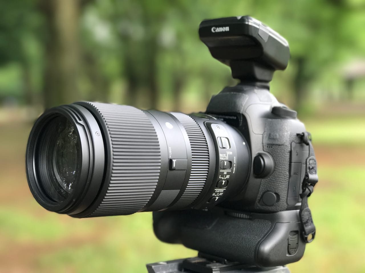 Sigma 100 400mm F 5 6 3 DG HSM OS Contemporary An Affordable Full