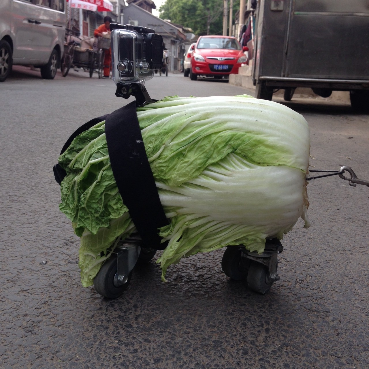 Jonah Kessel on shooting Cabbage with Canon C100 Dual Pixel CMOS AF ...