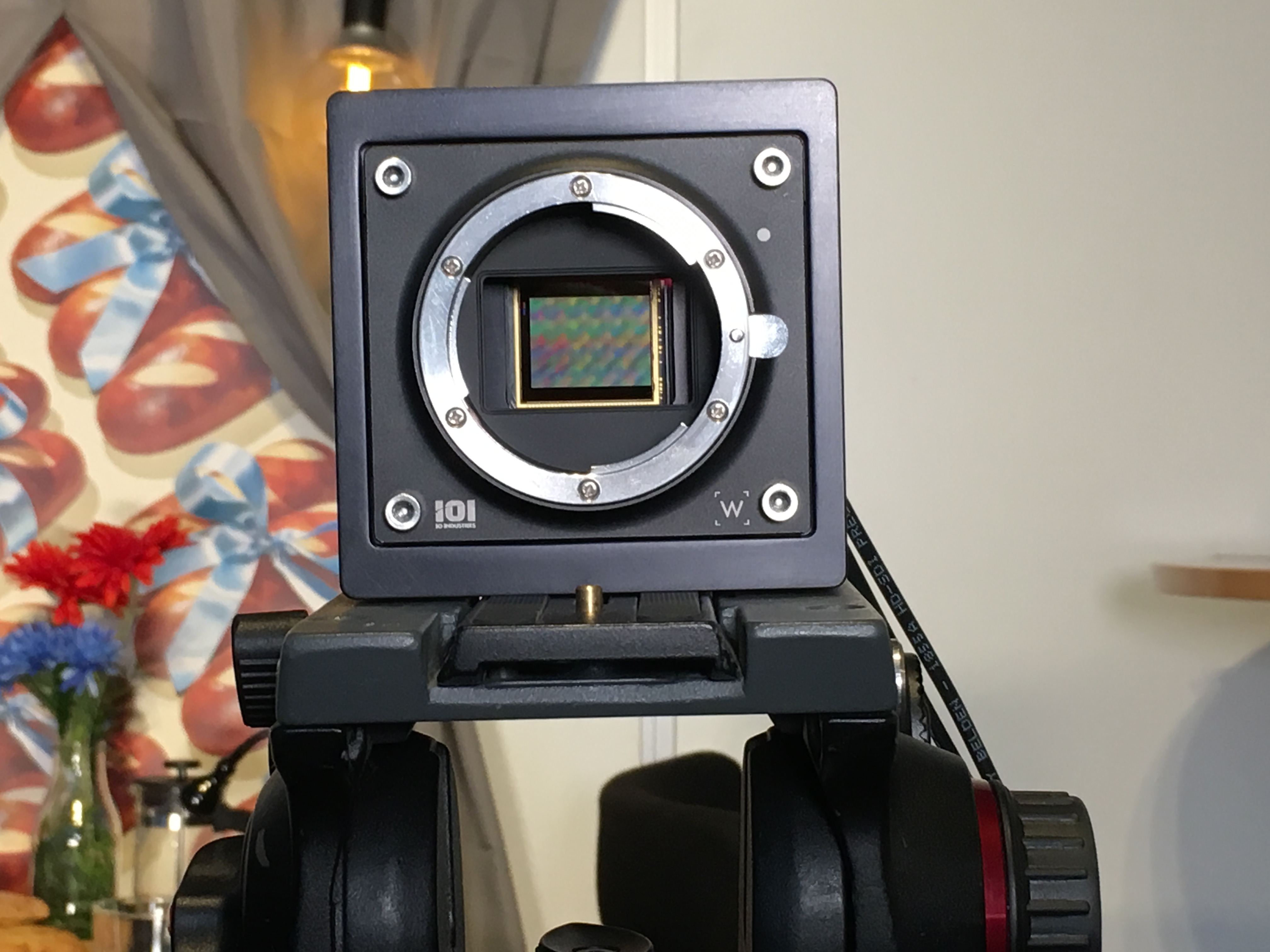 IMG 2749 - Newsshooter