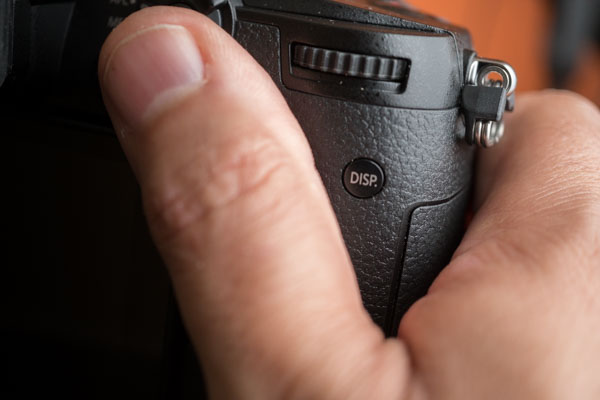 GH5 DISP button on back - Newsshooter