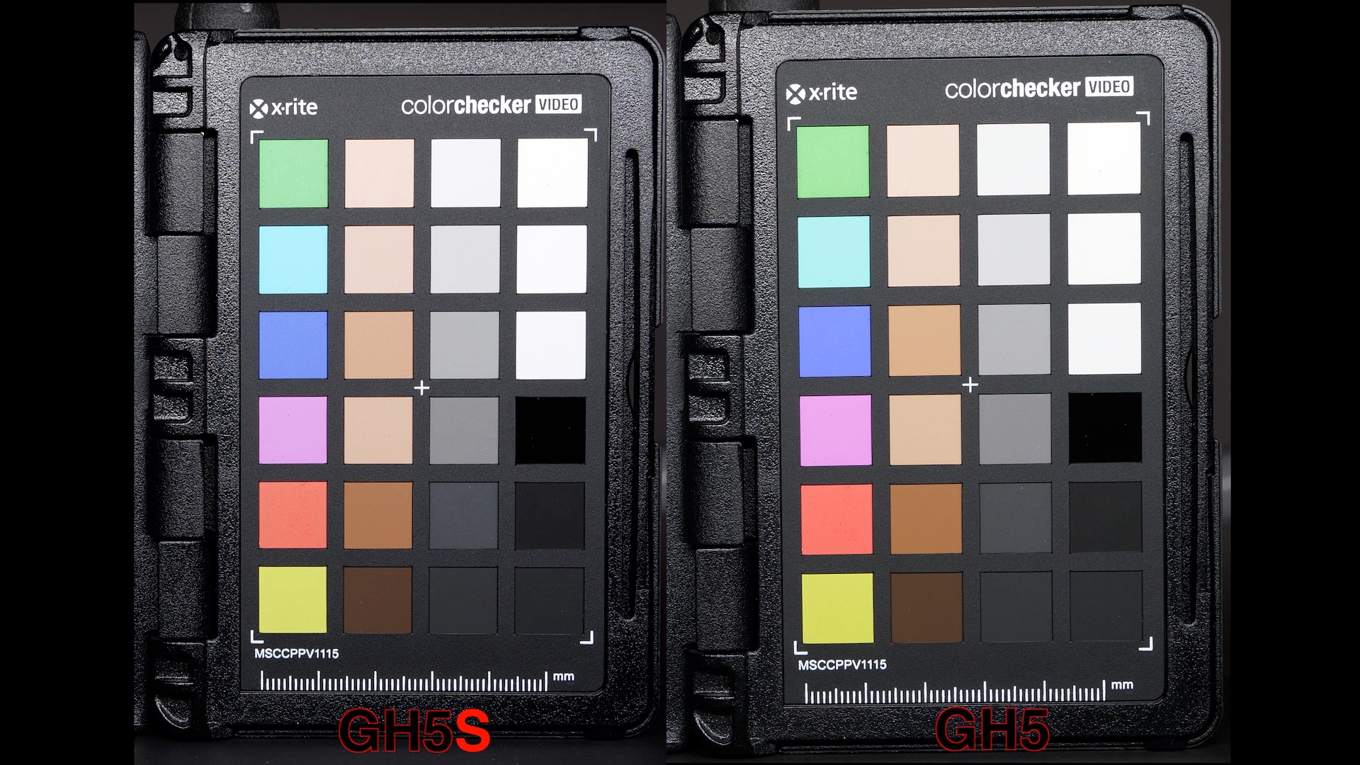 GH5 GH5S Color Test - Newsshooter