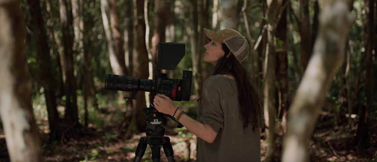 Meet the Wilds – capturing wildlife with RED cameras - Newsshooter