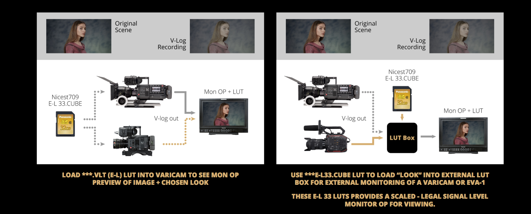 Panasonic Releases Free VariCam LUT Library - Newsshooter