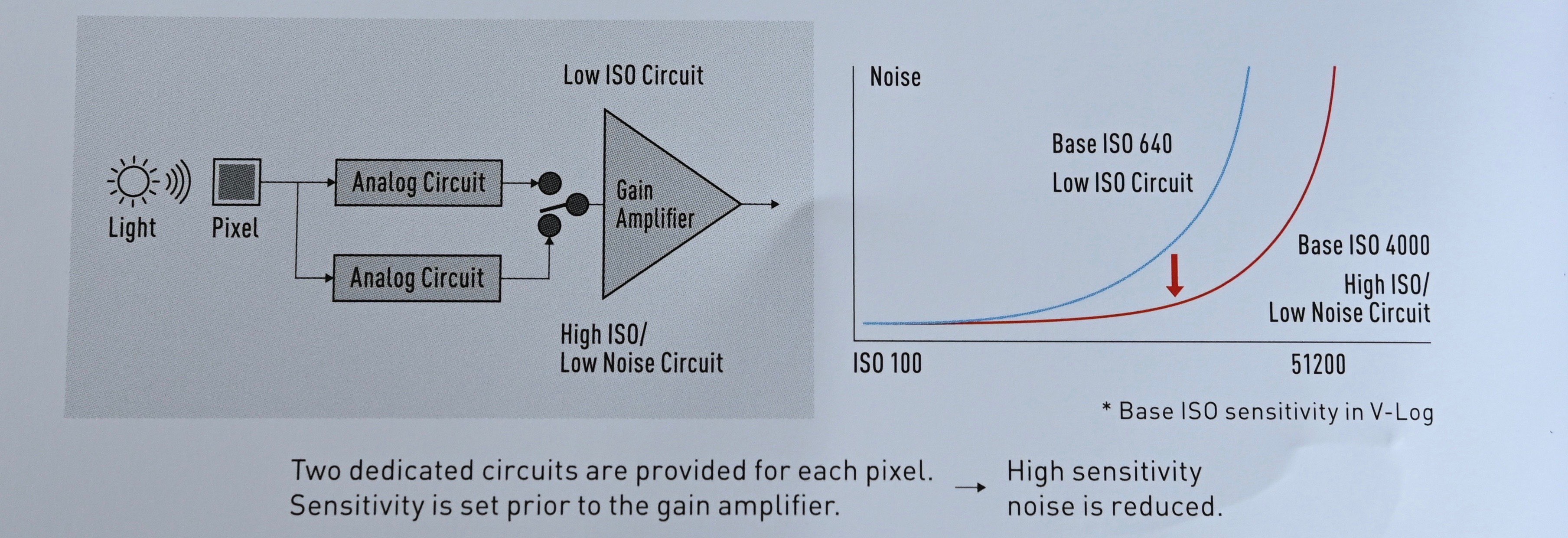 DSC 3398 1 - Newsshooter