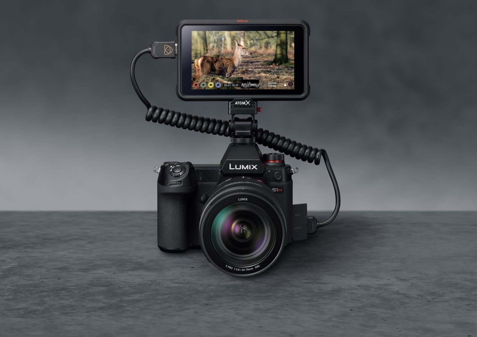 Panasonic S1H goes RAW - Newsshooter
