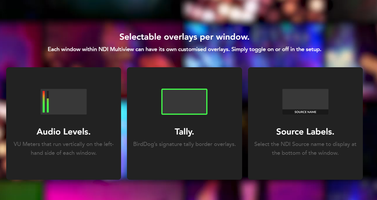 BirdDog Announces NDI Multiview Lite & Multiview Pro - Newsshooter