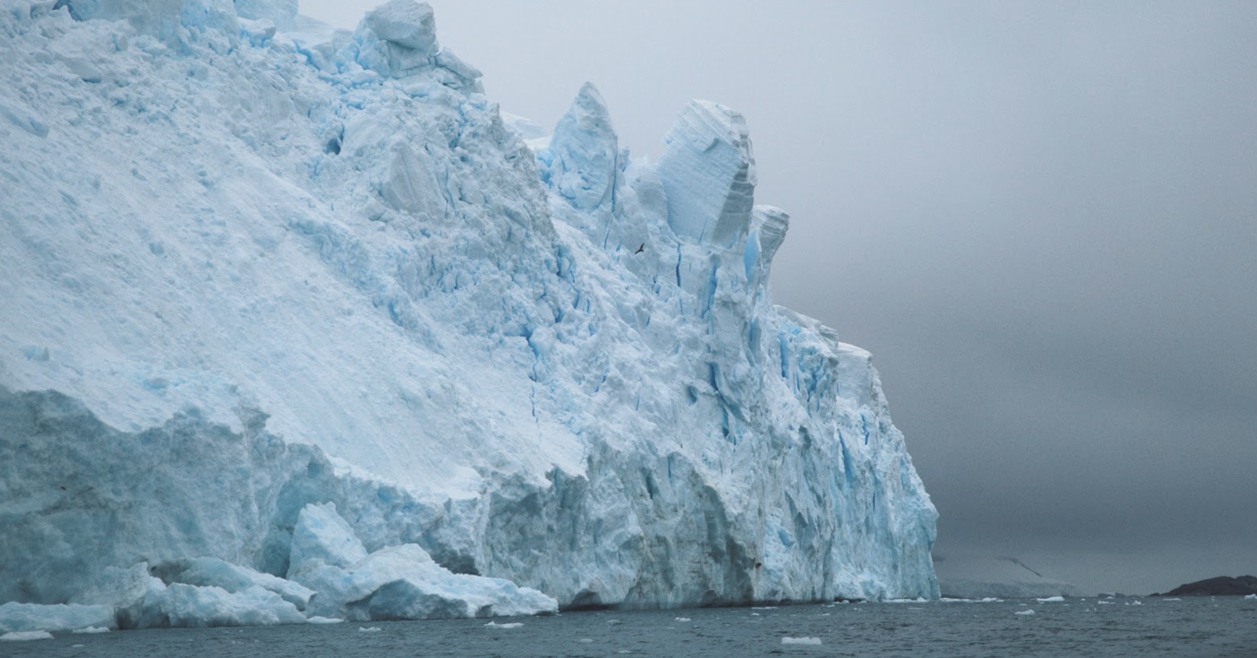 Screenshot 2020 06 05 at 11 19 59 AM - Newsshooter