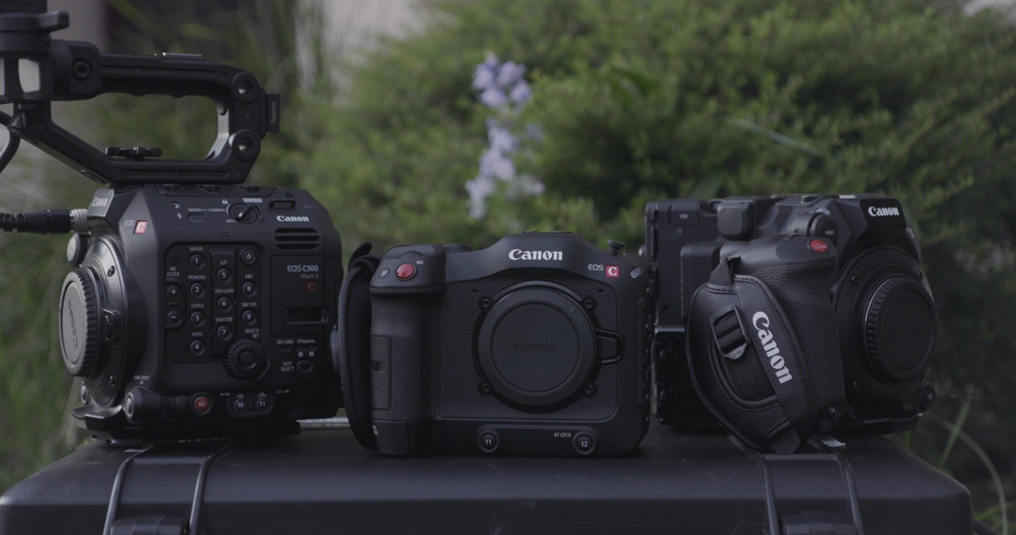 Canon EOS C70 - Newsshooter