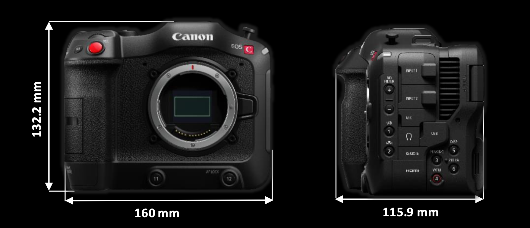 Canon EOS C80– 6K Full Frame & SDI - Newsshooter