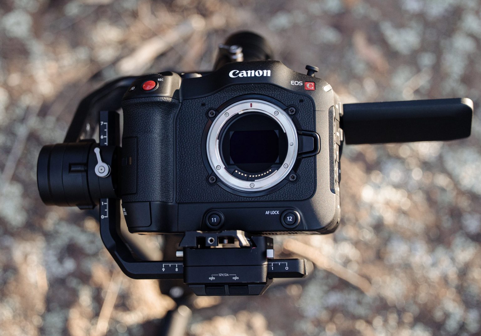 Canon EOS R6 V & RF20-50mm F4 L IS USM PZ - Newsshooter