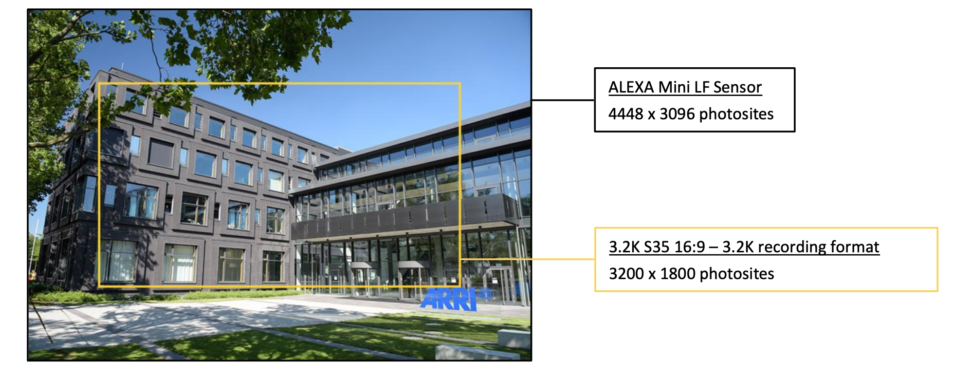 Screenshot 2021 03 26 at 10 11 56 AM - Newsshooter