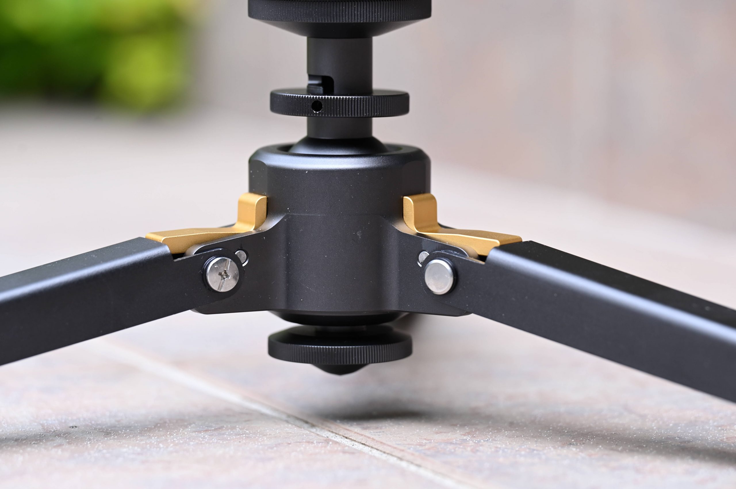 DSC 5293 01 - Newsshooter