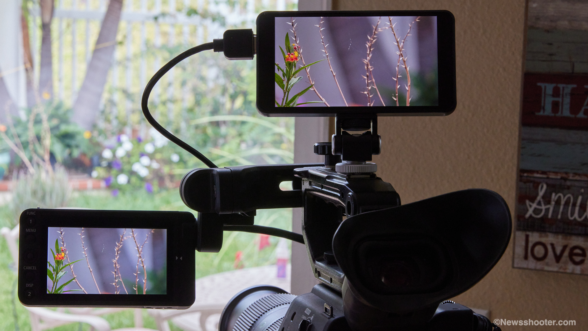 Portkeys Budget-Friendly PT5 5" 10 bit 8+2 FRC HD monitor review ...