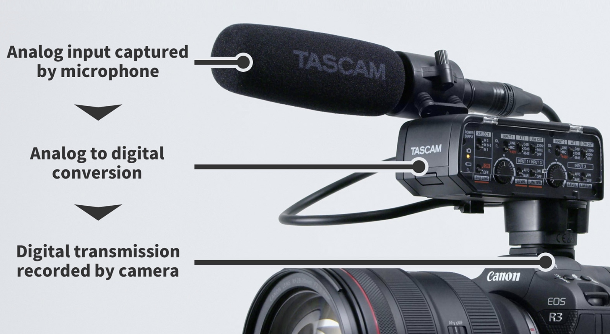 Tascam XLR Microphone Adapter Kits now available to Pre-order - Newsshooter
