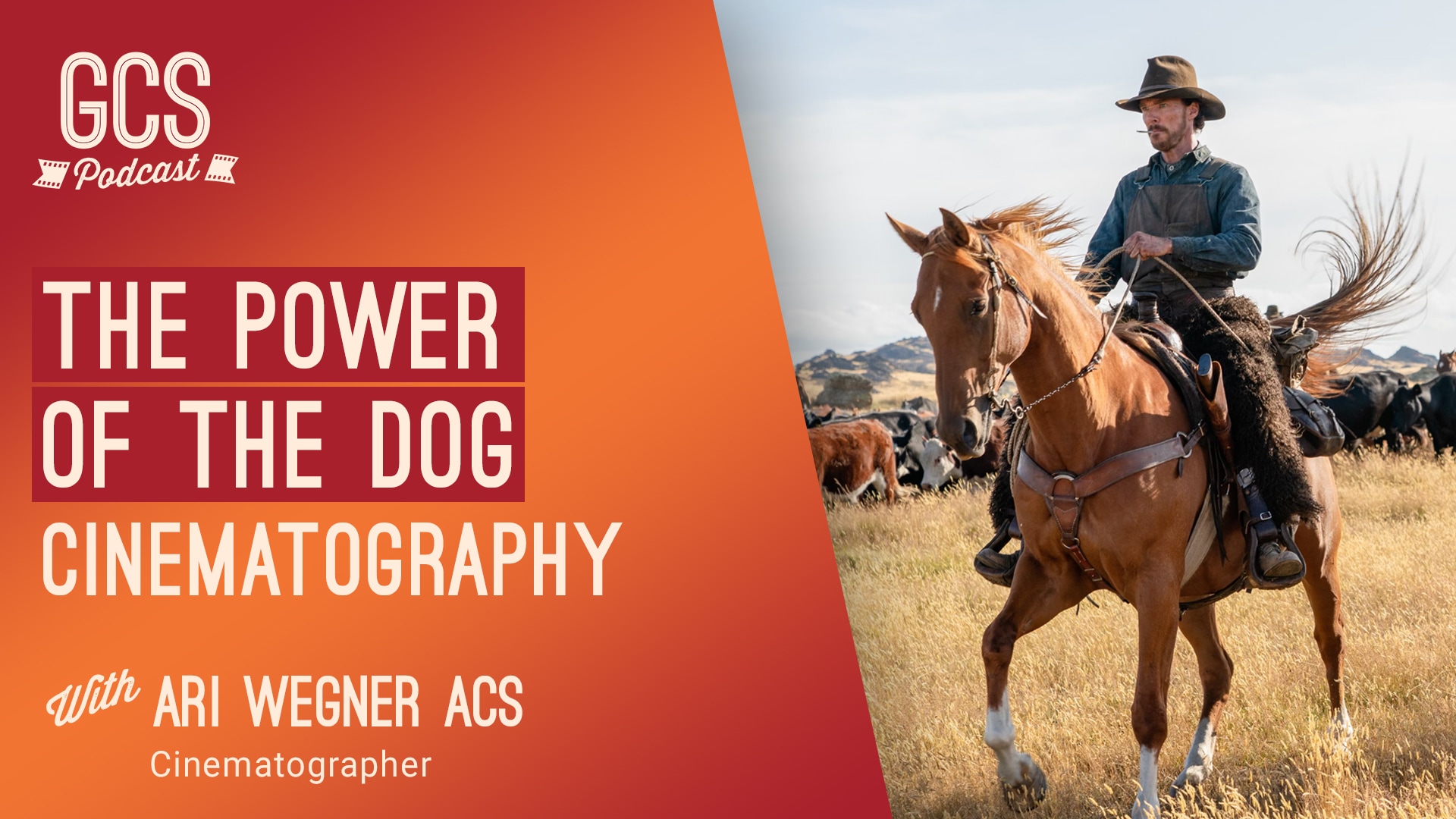 The Power of the Dog Cinematography - Newsshooter