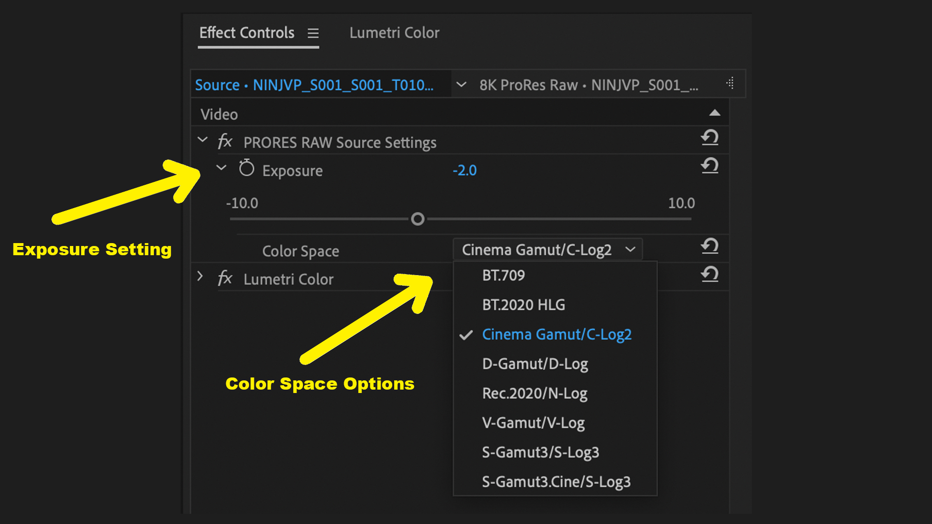 Shooting 8K ProRes Raw with Atomos Ninja V+ and Canon R5 - Newsshooter