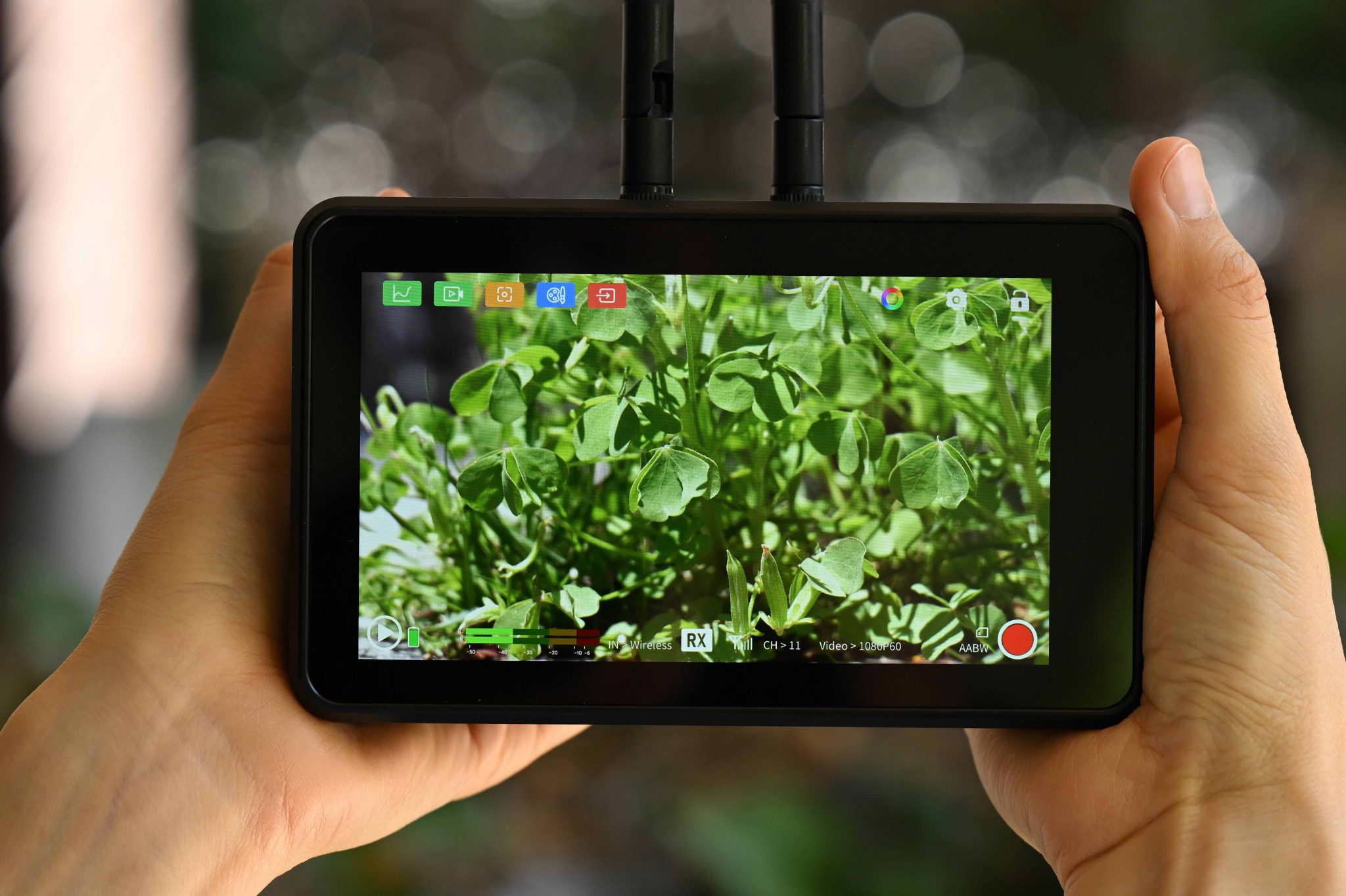 Vaxis Atom A5 5.5" Touchscreen Wireless Monitor Review - Newsshooter