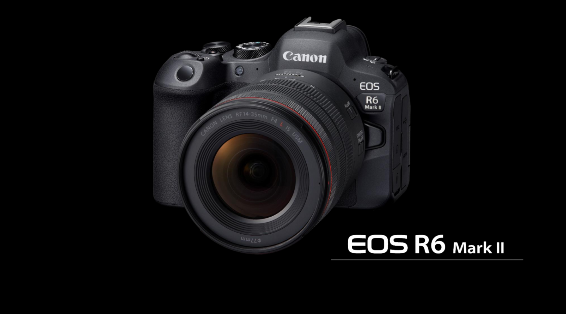 Canon R6 Mark II Review A Well Rounded Upgrade PetaPixel 50 OFF Canon R6 Mark II Review A Well Rounded Upgrade PetaPixel 50 OFF