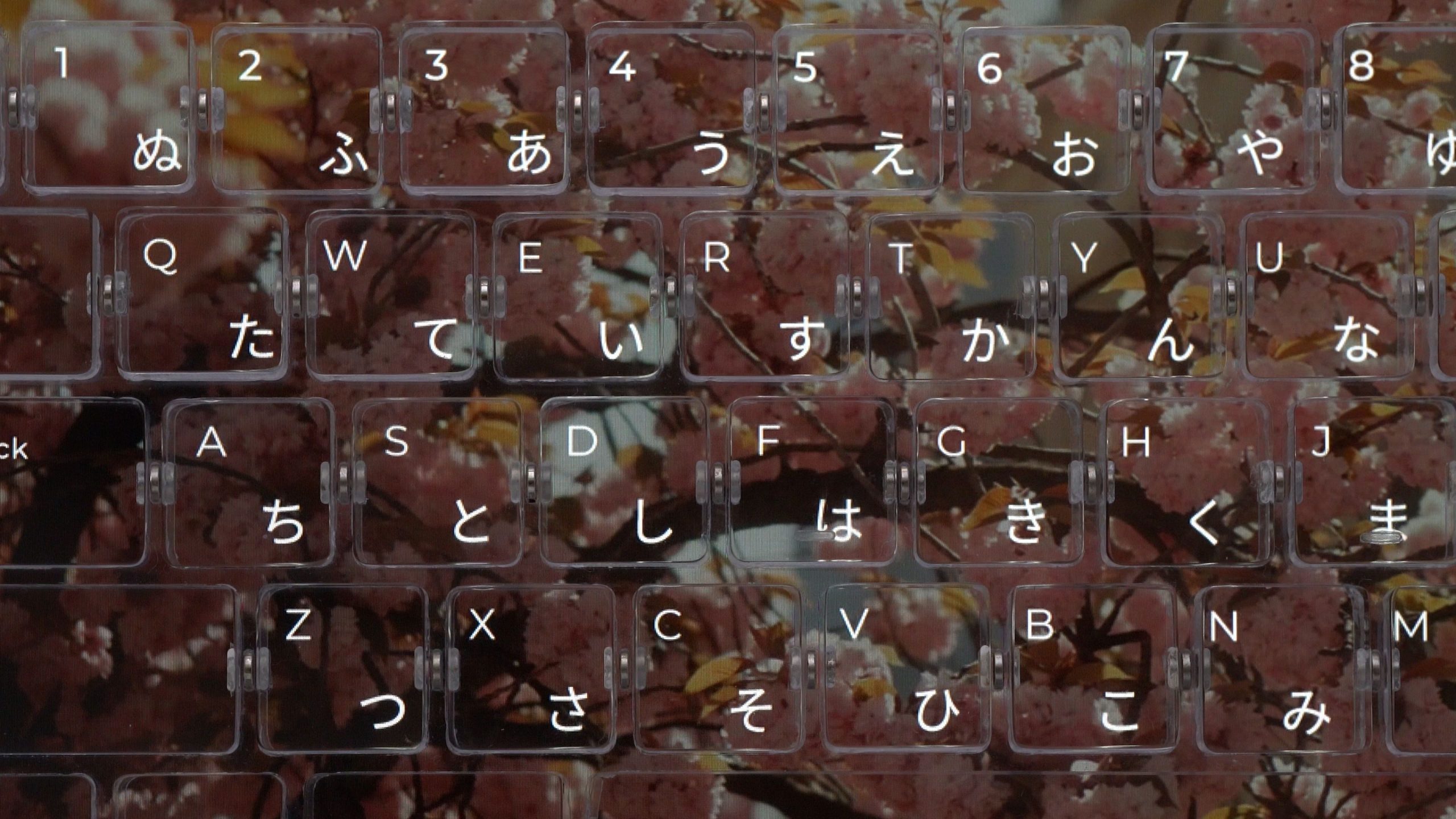 Flux Keyboard - A transparent keyboard with integrated display that ...