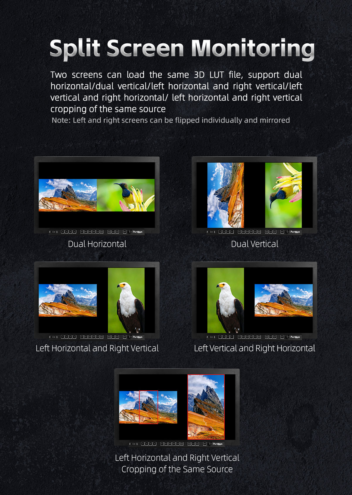 MT22DS详情页 英文 切图 02 - Newsshooter