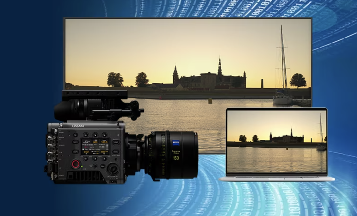 Sony X-OCN Explained - Newsshooter