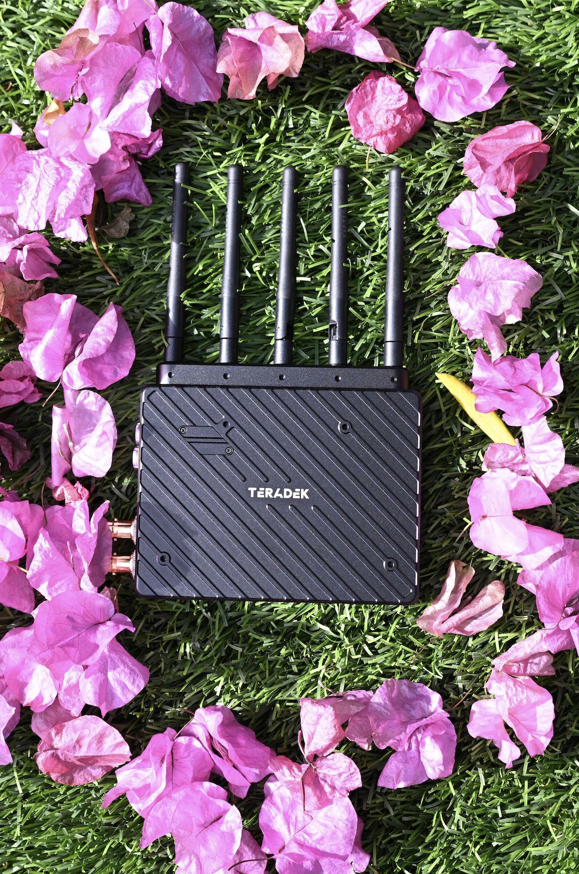 Screenshot 2023 06 07 at 10 24 12 AM - Newsshooter