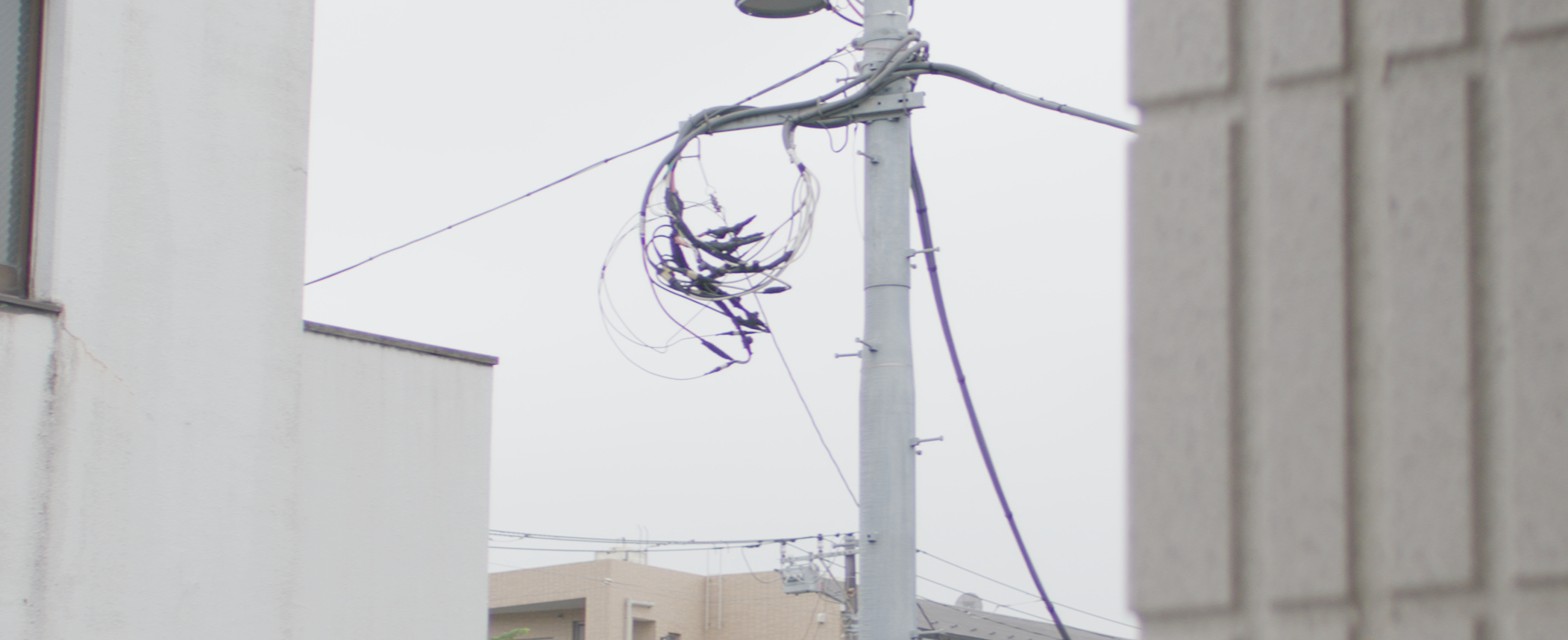 Screenshot 2023 06 10 at 10 06 41 AM - Newsshooter