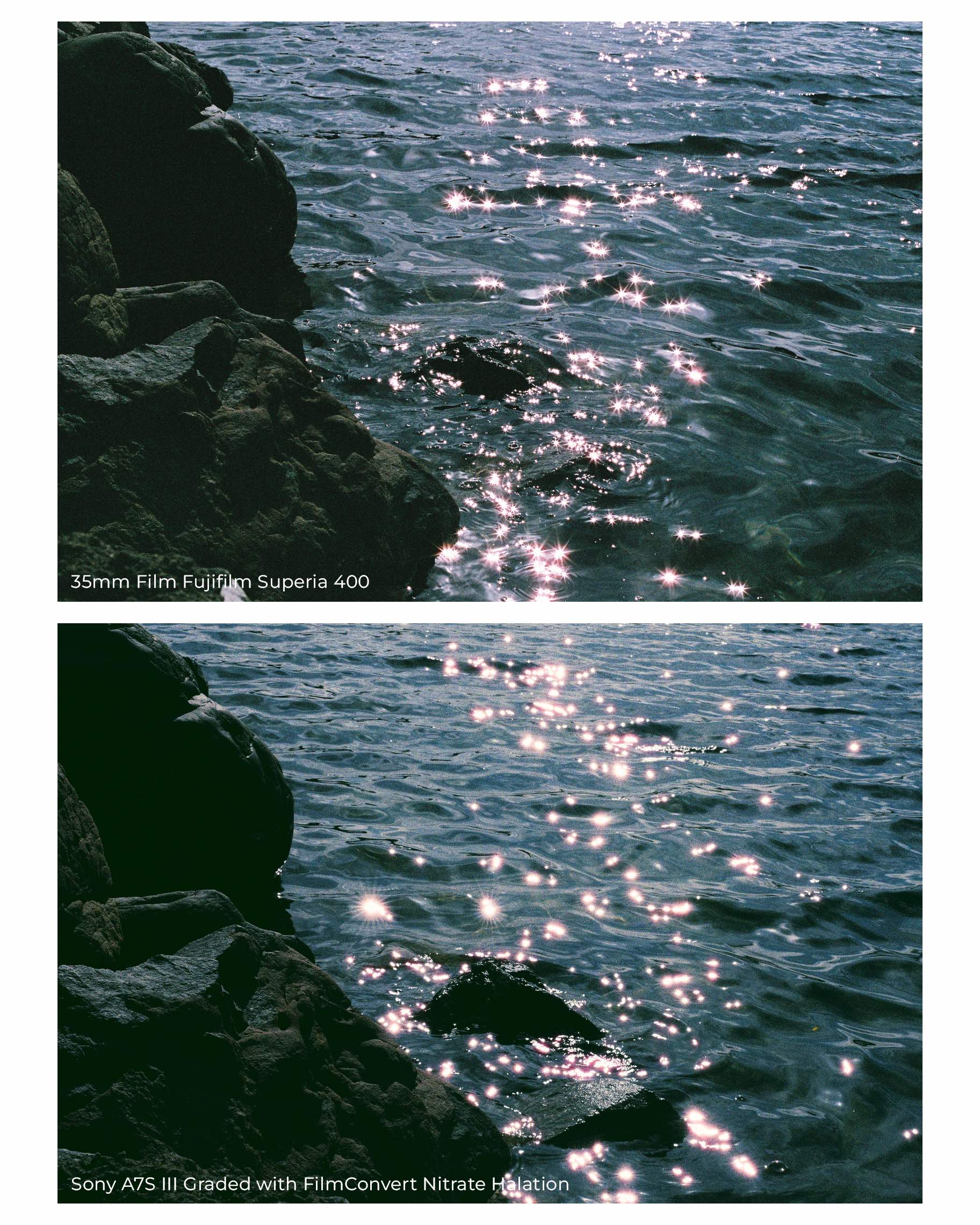 35mm vs Nitrate 002 - Newsshooter