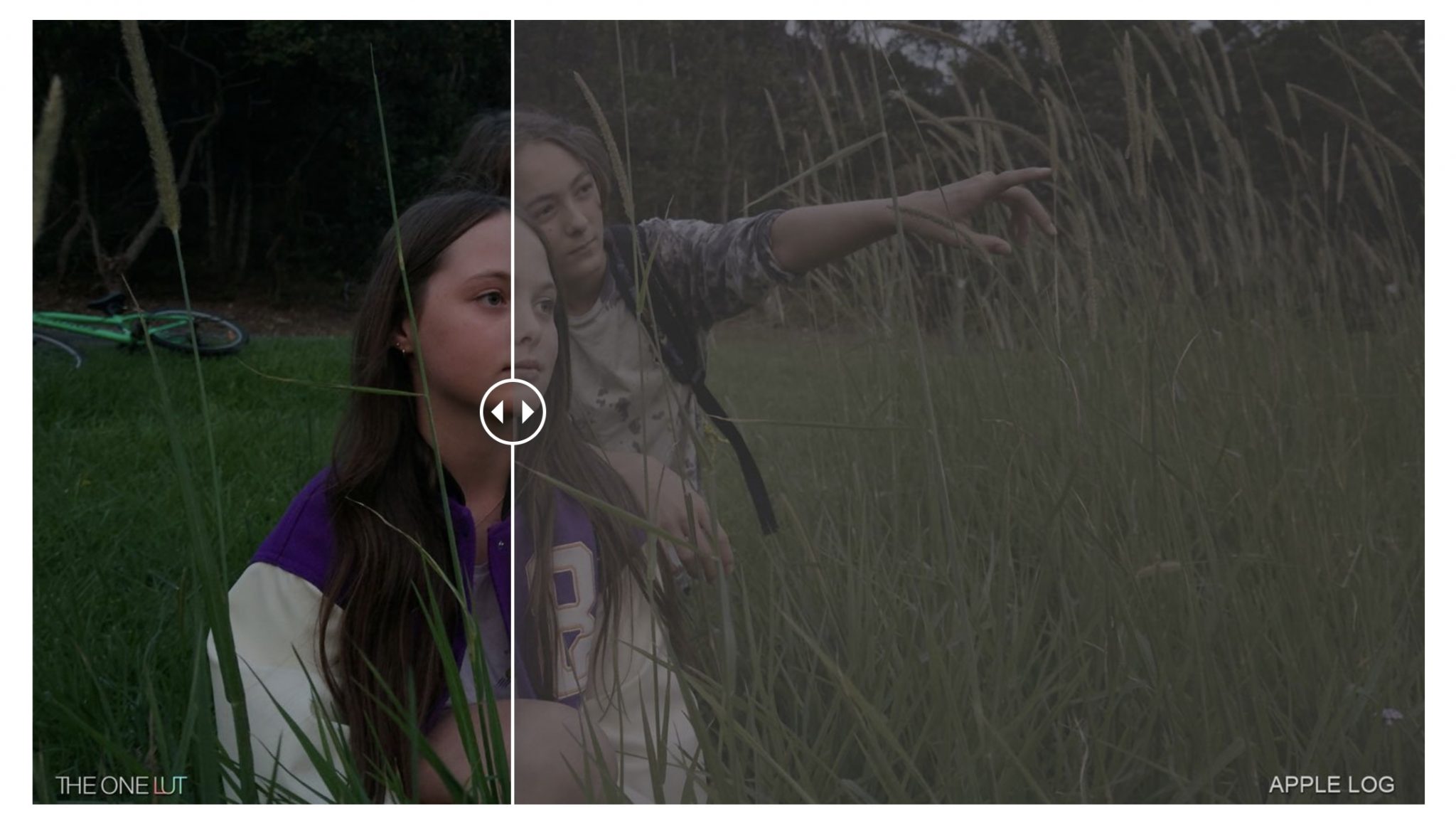 One LUT for Apple Log - Newsshooter