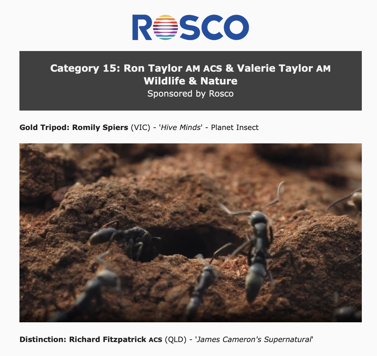 Screenshot 2024 05 06 at 14 32 20 - Newsshooter