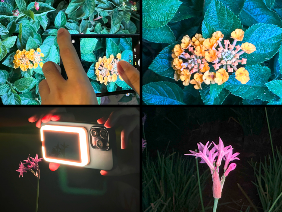 Picture4 - Newsshooter