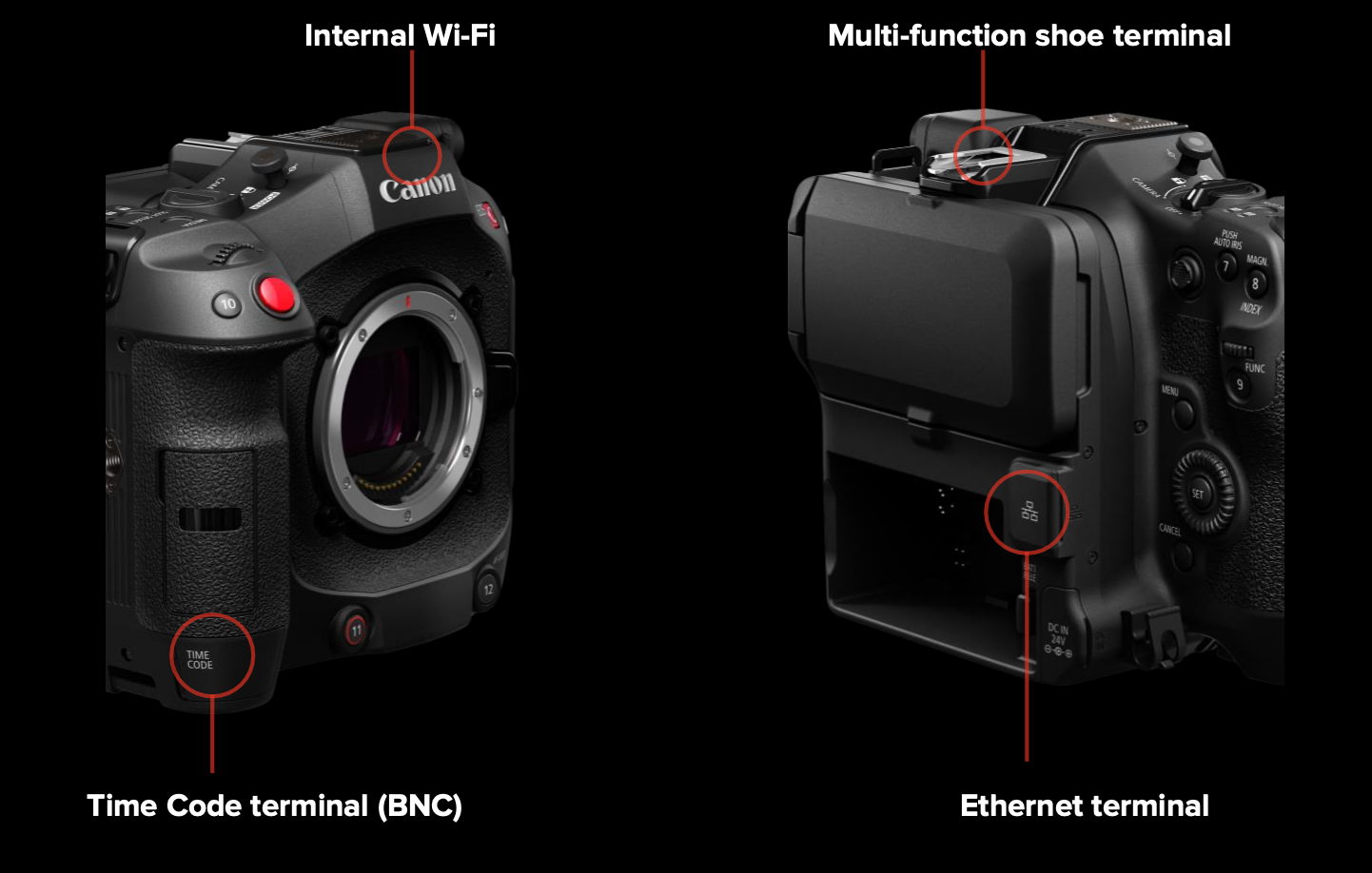Canon EOS C80– 6K Full Frame & SDI - Newsshooter