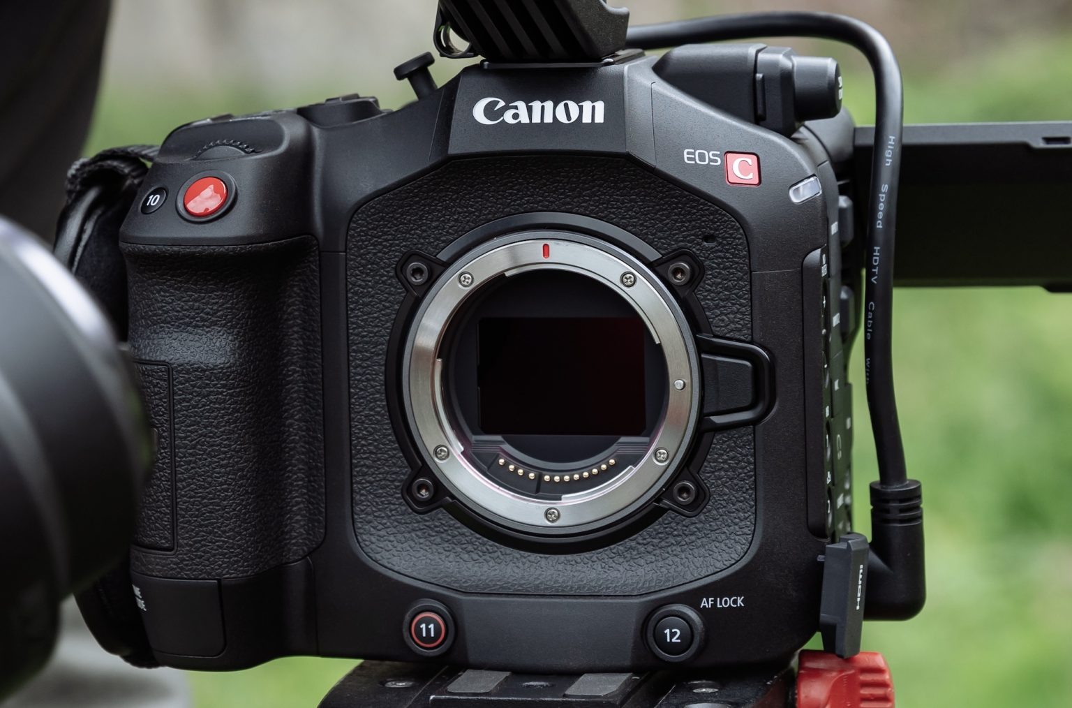 Canon EOS C80– 6K Full Frame & SDI - Newsshooter