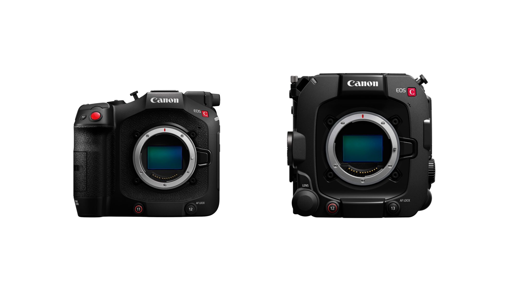 Canon collaborates with Adobe to bring native Frame.io Camera to Cloud ...