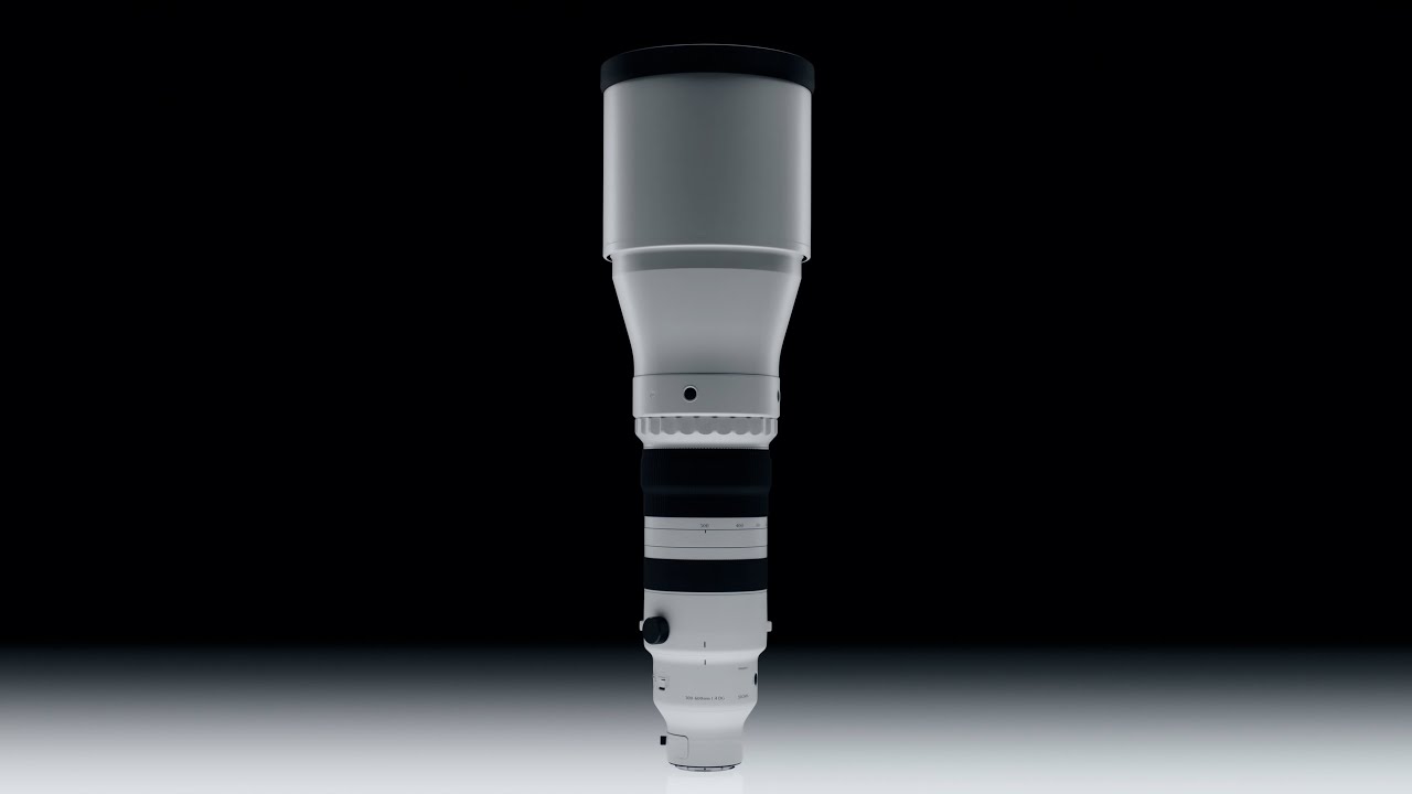 Sigma 300-600mm F4 DG OS | Sports - Newsshooter