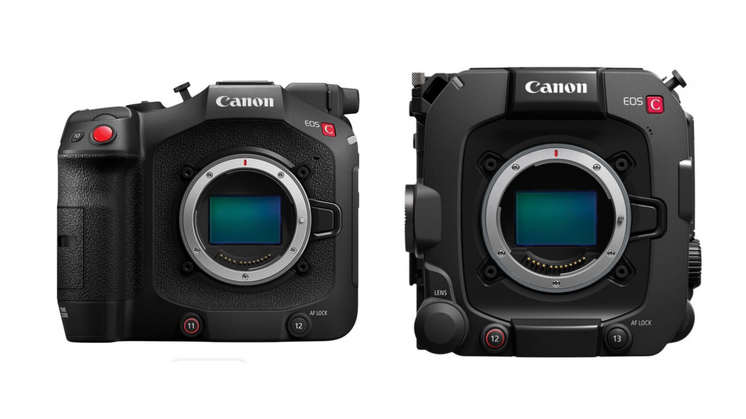 Canon Firmware Updates for EOS C400, C80, C70, & R5C - Newsshooter